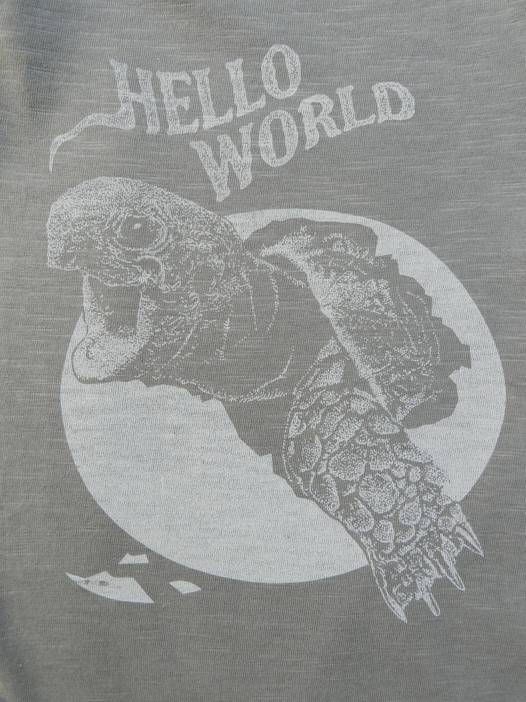 Lion of Leisure baby one-piece suit TORTOISE: Hello world – Lion of ...